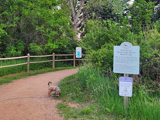 Even the family dog knows this path leads somewhere worth sniffing out.