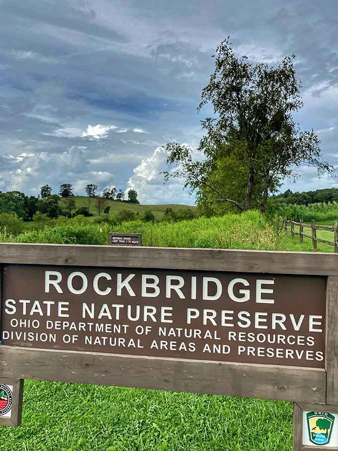 The entrance sign sets the tone perfectly, wooden, unpretentious, and backed by rolling hills that make a very convincing argument for staying awhile.