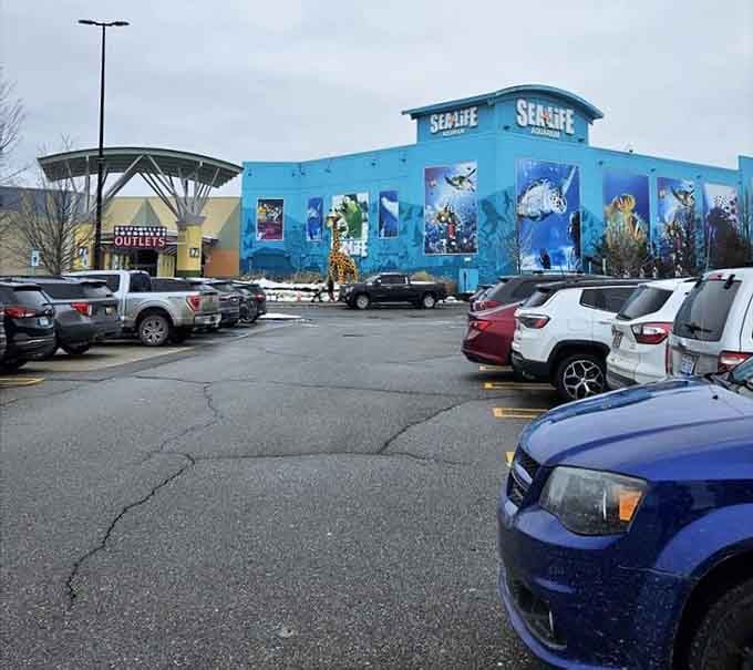The bright blue building promises ocean wonders inside, standing out like a tropical reef in suburban Michigan.