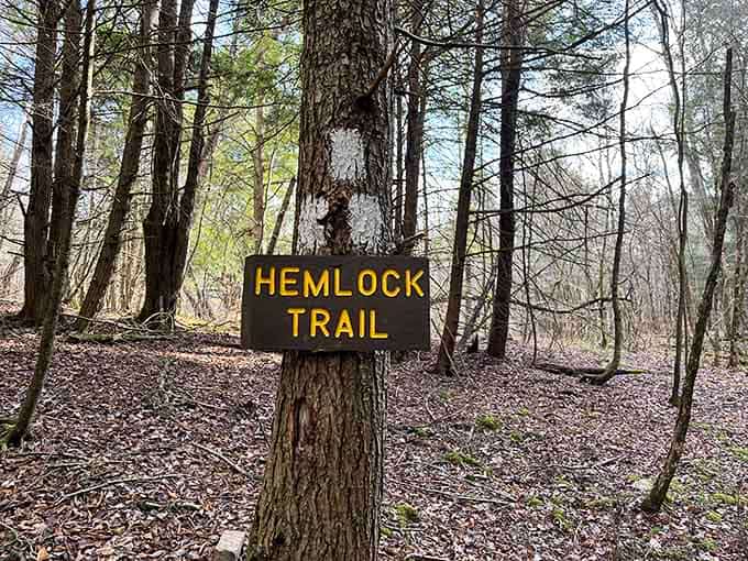 The Hemlock Trail sign is modest, but what waits beyond it is anything but ordinary.