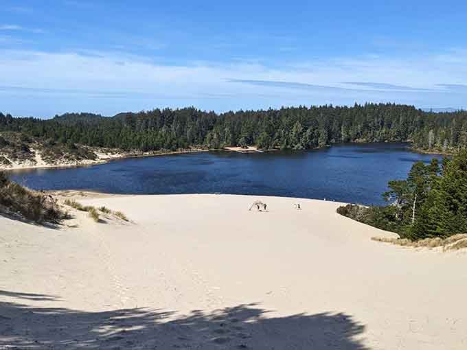 White sand dunes cradling a deep blue lake, with forest all around. Oregon really does have everything, doesn't it.