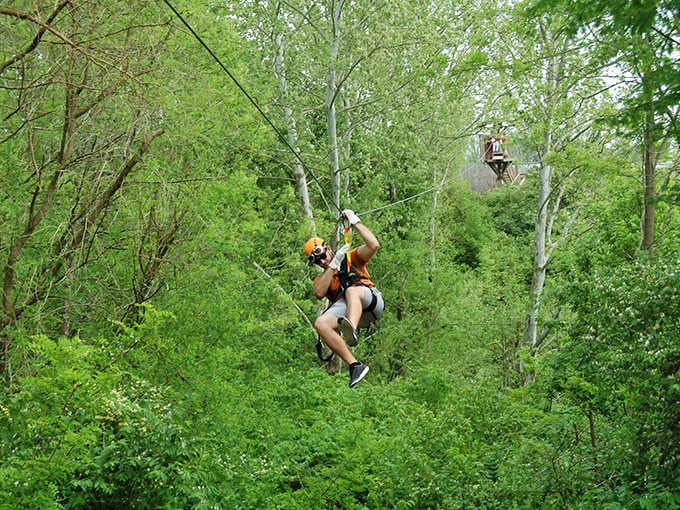 Disappearing into a wall of green, this zipliner has officially left their comfort zone in the best possible way.