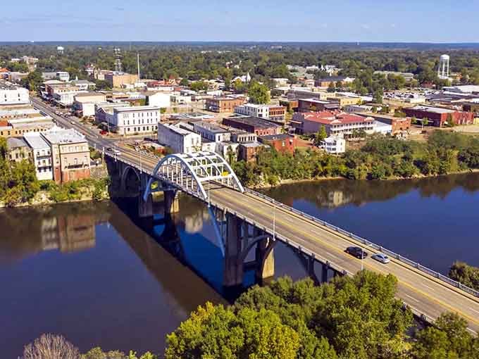 From above, Selma and the Edmund Pettus Bridge together tell a story that words alone can never fully capture.