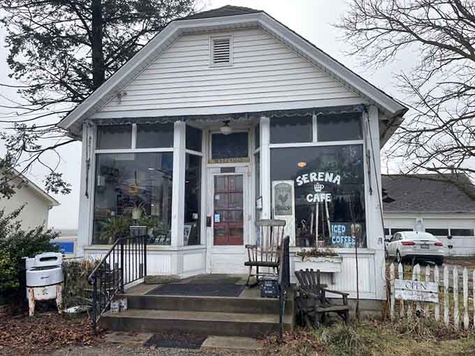 Even on a grey winter day, Serena Cafe looks like exactly the kind of place you need to find right now.