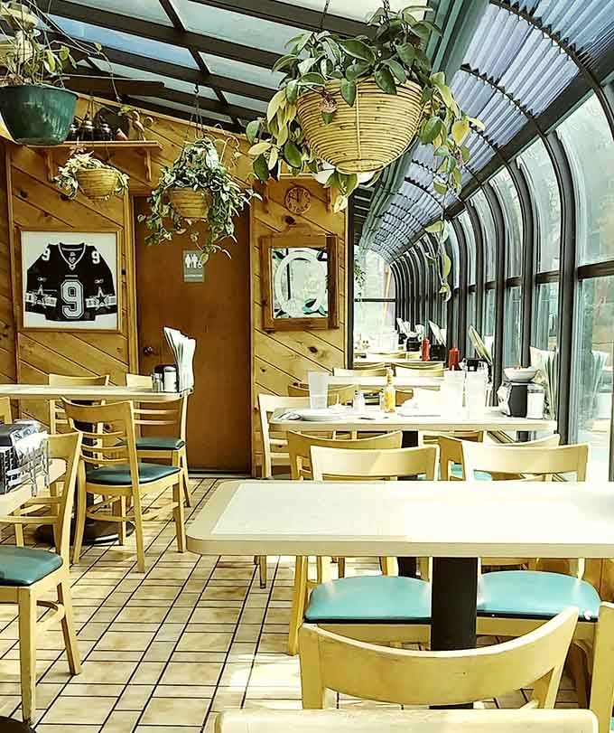 Bright sunroom seating with hanging plants creates an unexpectedly cheerful spot for your morning meal experience.
