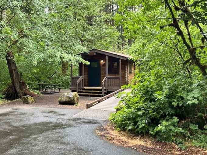 A cozy cabin tucked into the trees, because sleeping this close to ten waterfalls deserves more than a tent.