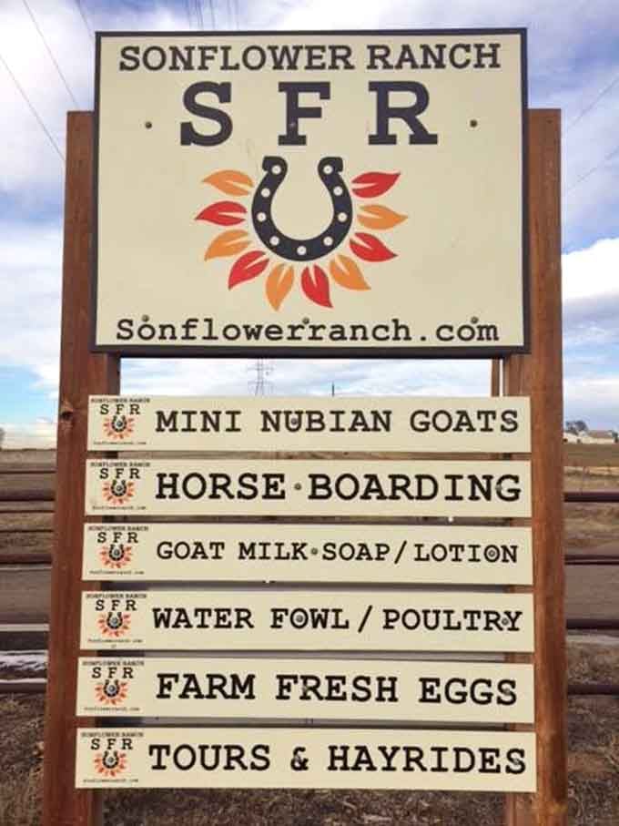 Everything you need for a perfect Colorado day is right here on this sign. No reservations required.