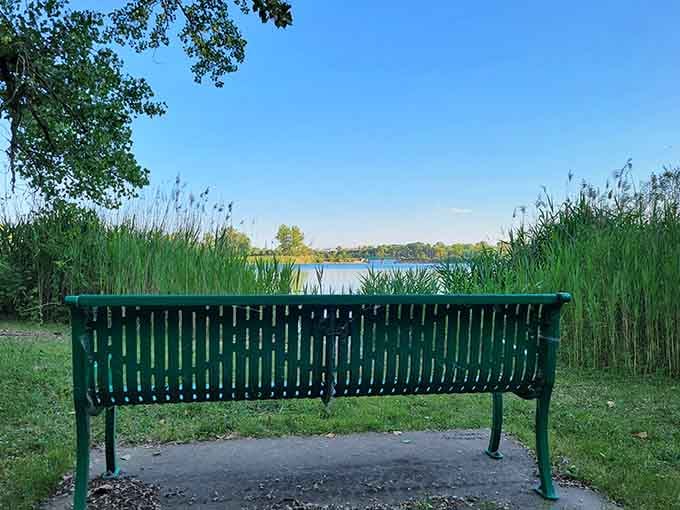 Benches positioned perfectly for contemplating life, the lake, or just avoiding your to-do list entirely.
