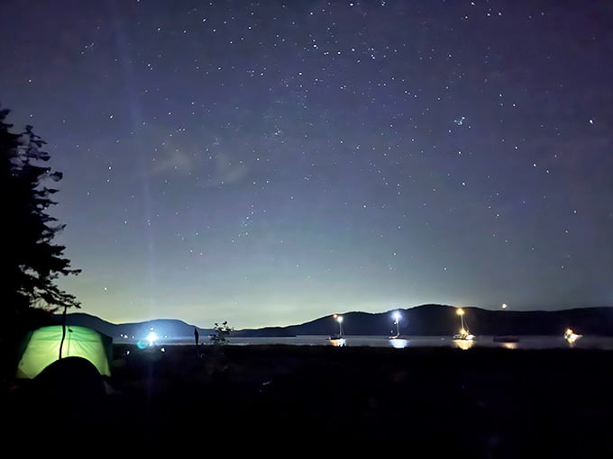 Stars so bright you'll finally understand what all those astronomy nerds have been raving about your entire life.