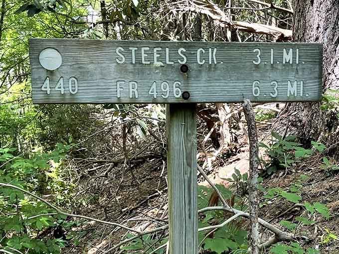 Trail 440, Steeles Creek, 3.1 miles. The sign is modest. The destination is anything but ordinary.