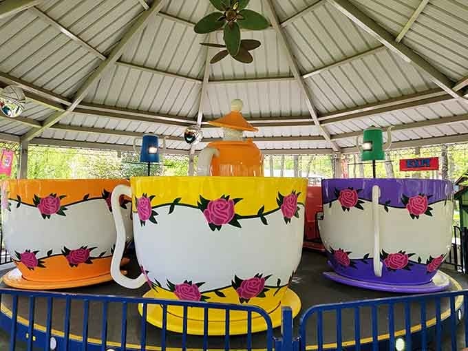 Spinning teacups decorated with roses sit ready for riders, a Mad Hatter tea party that somehow never gets old.
