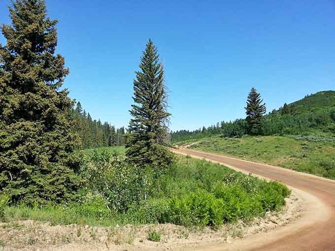 The dirt road curves ahead through the pines, unhurried and unpaved, a gentle suggestion that the best things still require a little effort to reach.