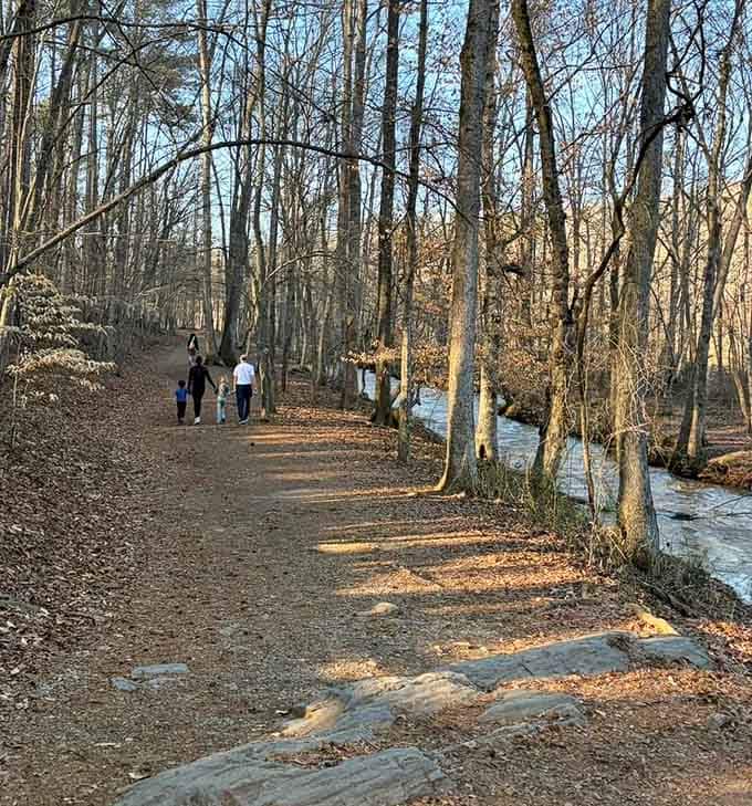Late afternoon light on this trail is the kind of thing that makes you glad you finally said yes to the hike.
