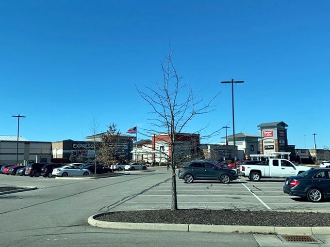 Parking spaces that actually exist, a rare luxury that makes the entire shopping experience significantly less stressful overall.