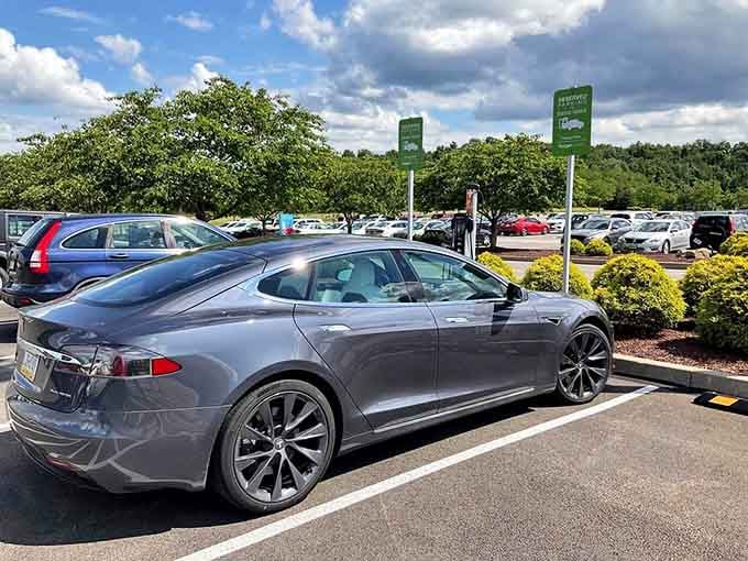 Even the parking lot looks inviting, with plenty of spaces and that Tesla suggesting successful shopping ahead.