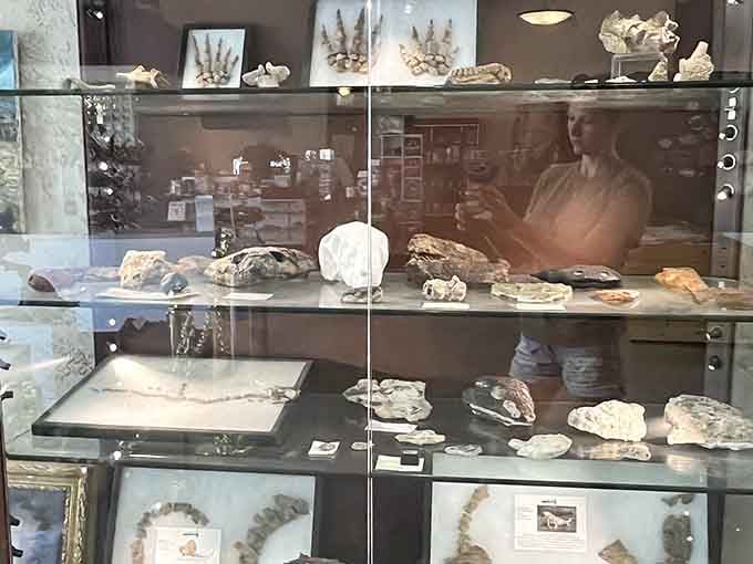 Glass cases packed with fossils of every shape and size, each one with its own remarkable story.