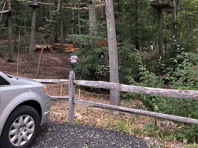Even the parking lot hints at the adventure waiting just beyond those trees. Go find it.