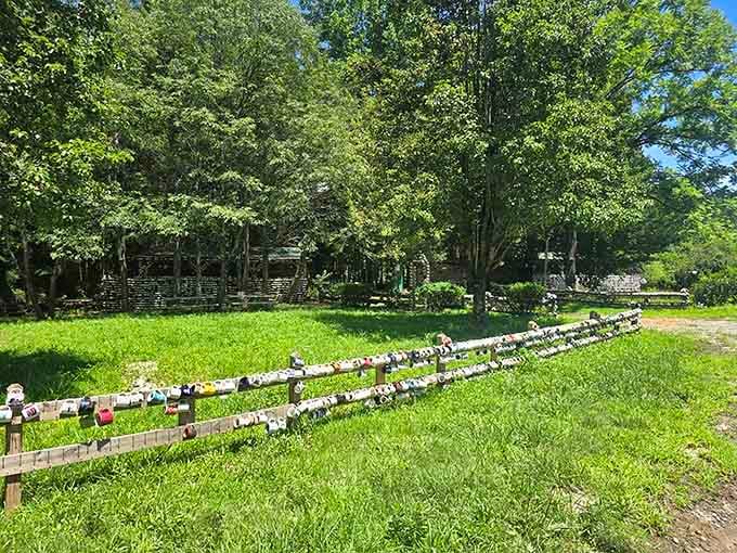That fence isn't just a fence, it's a gallery, a guestbook, and a conversation starter all at once.