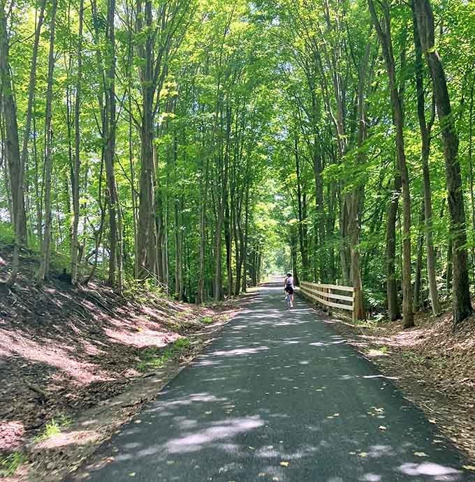 A pleasant surprise around every bend is a cool forest shade, birdsong overhead, and a trail that practically whispers, “keep going.”