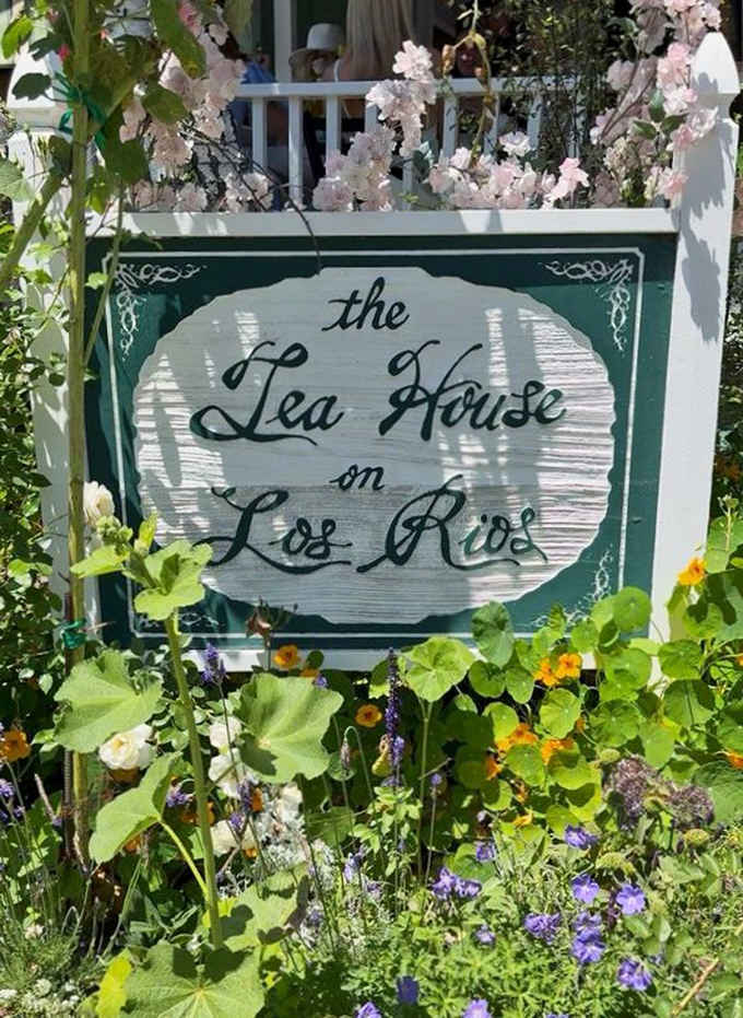 The hand-painted sign surrounded by blooms announces you've arrived somewhere truly special and worth finding.