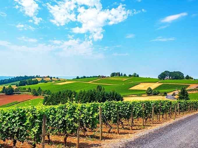 Bright blue skies, rolling green hills, and vineyard rows for days. Tuscany called, and it wants its aesthetic back.