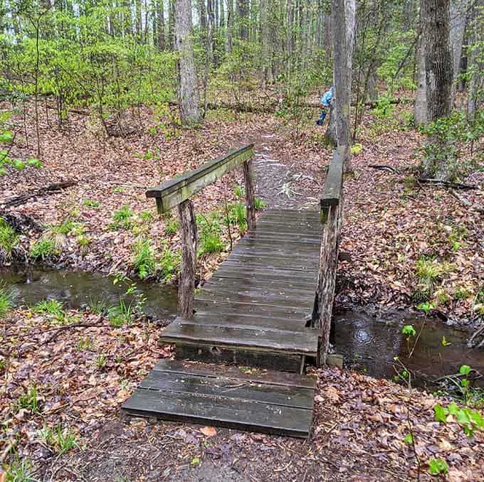 Where water meets wood meets forest, you'll find the kind of peace that doesn't require a prescription.