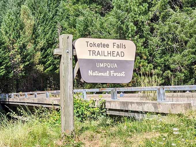 This welcoming sign marks the beginning of your journey to one of Oregon's most photogenic natural wonders.