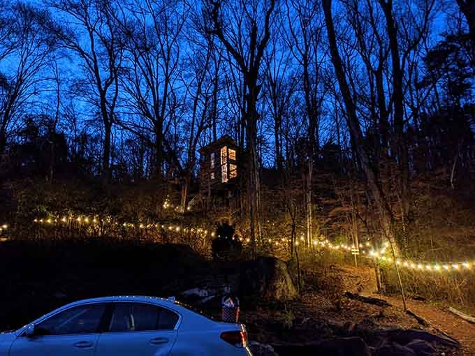 Warm lights tracing a path through dark Georgia woods toward a glowing treehouse tower, arriving here feels like finding something you forgot you lost.