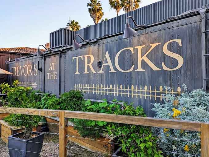 Bold gold letters on weathered charcoal steel, framed by herb gardens. This sign isn't decoration, it's a destination worth finding.