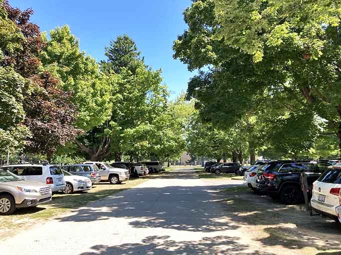 Shaded parking that fills up fast on summer days, so arrive early or embrace your inner optimist.