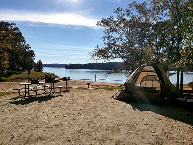 A tent pitched right on the water's edge with fall colors overhead. This is South Carolina doing its absolute best work.
