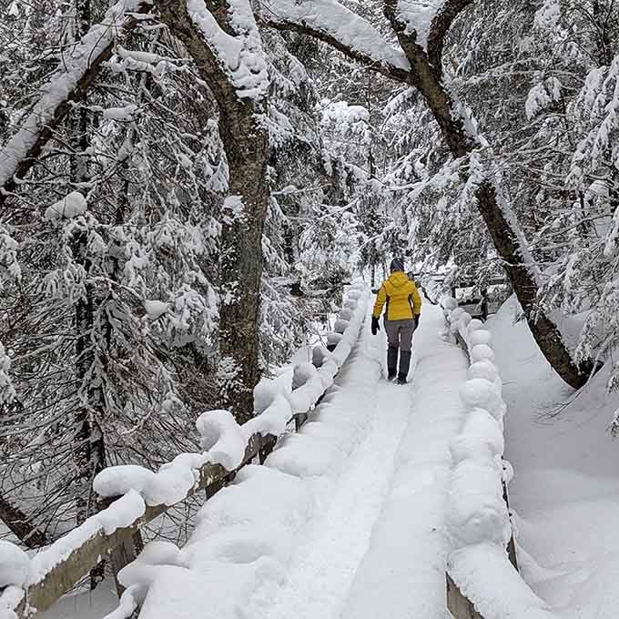 Winter turns the boardwalk into a snow-globe scene, proving Wagner Falls looks magical in every single season.