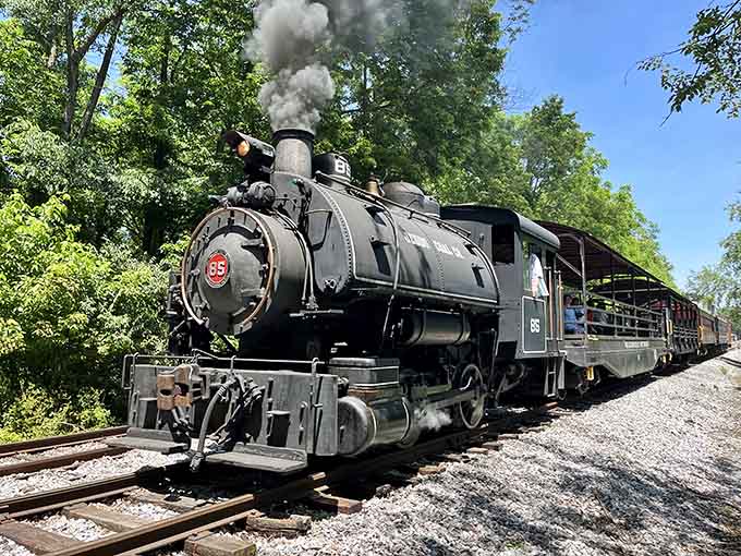 That steam locomotive pushing through the trees with smoke curling skyward is the kind of sight that stops your scroll cold.