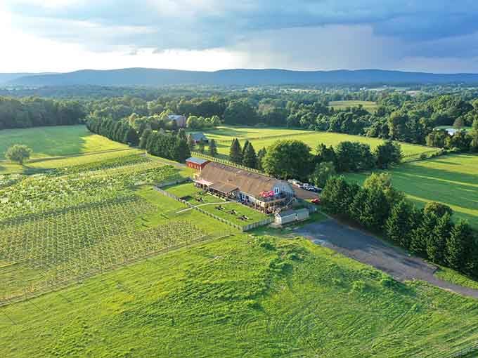 From above, 8 Chains North Winery looks like someone dropped a perfect little farm into the most beautiful valley they could find.