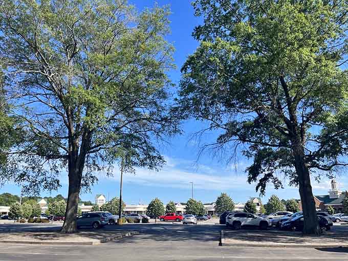 That parking lot view means adventure awaits, and your wallet is about to get significantly lighter.