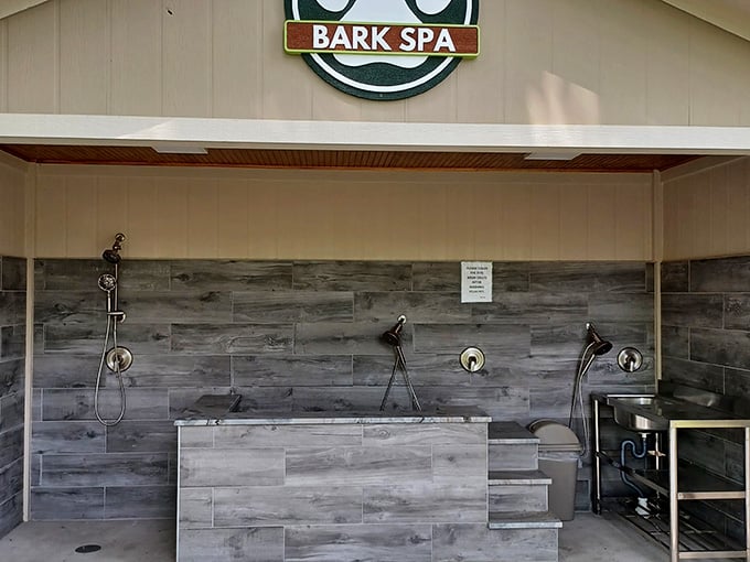 Yes, that's a full spa station just for your dog. WillowTree thought of everyone, including the four-legged family members.