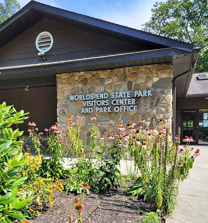 Wildflowers bloom outside the visitor center like the park itself is trying to make a great first impression, and succeeding.