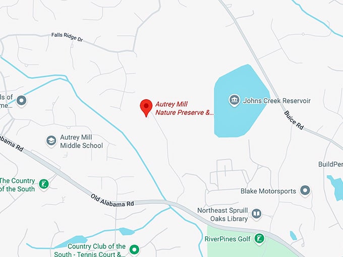 The Little-Known Georgia Nature Preserve That Locals Are Keeping All To ...