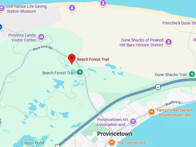 16. beech forest trail map