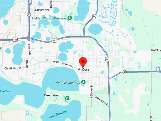 16. mount dora fl map
