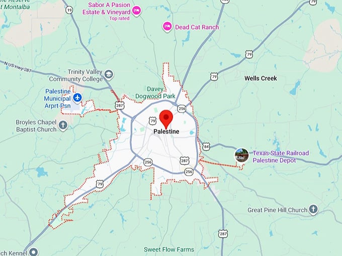16. palestine, tx map