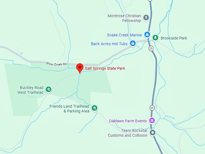 16. salt springs state park map