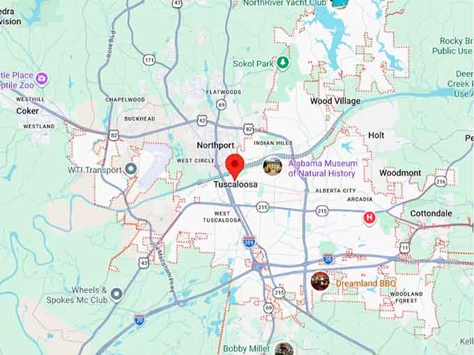 16. t town treehouse map
