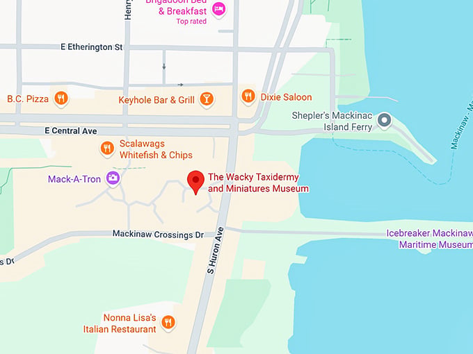 16. the wacky taxidermy and miniatures museum map