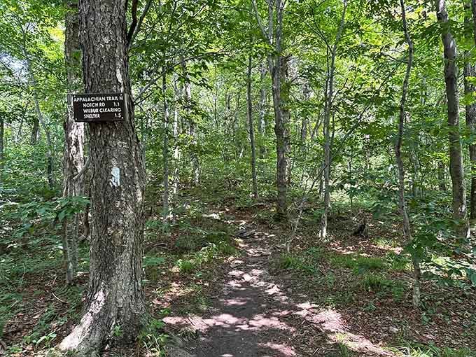 That Appalachian Trail sign isn't just a marker &mdash; it's a personal invitation you'd be foolish to decline.
