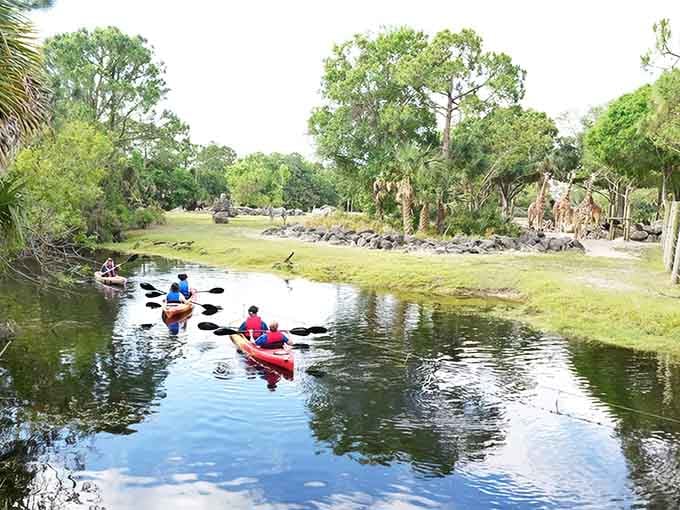Paddling past giraffes while they sip water&mdash;it's like National Geographic, except you're holding the oar yourself.