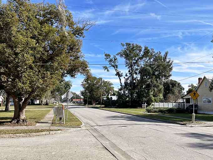 Wide streets, tall trees, and zero traffic jams — Bushnell's neighborhoods feel like a deep, welcome exhale.