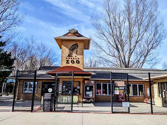 That charming entrance with the zebra logo promises adventures that'll make your inner eight-year-old absolutely giddy with anticipation.