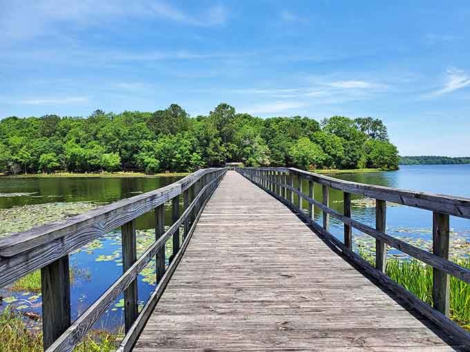 This weathered pier at Frank Jackson stretches toward lush green trees like nature's own welcome mat.