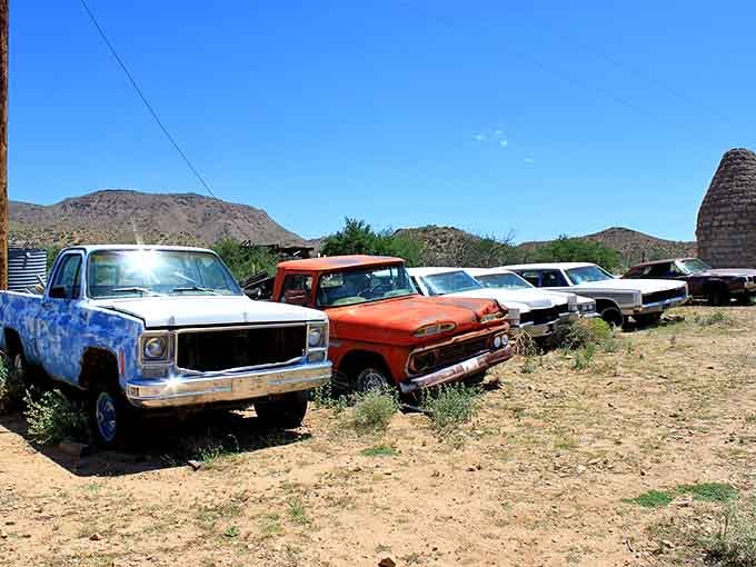 A lineup of rusted trucks baking under the Arizona sun, each one a forgotten chapter of Route 66 history.